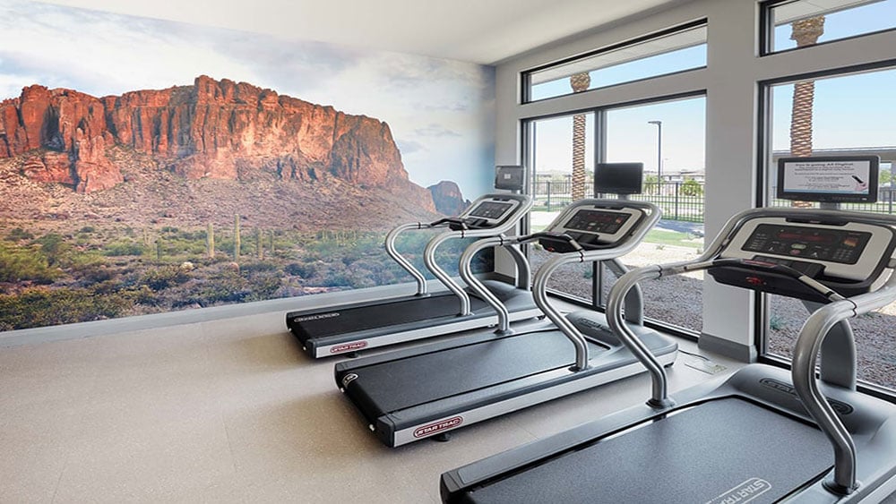 Ovation at Meridian 55+, a 55+ Community in Queen Creek, - Taylor Morrison