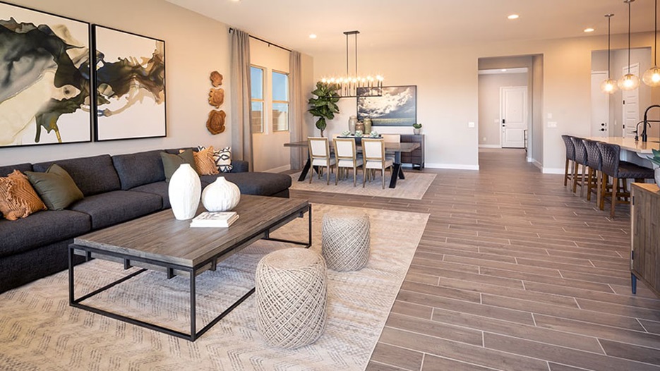 Albany at Combs Ranch Landmark Collection in San Tan Valley, AZ ...