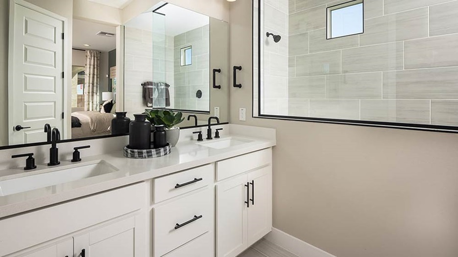 Albany at Combs Ranch Landmark Collection in San Tan Valley, AZ ...