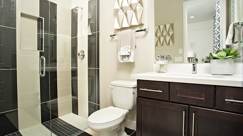 Shire at Paradisi Venture II Collection in Surprise, AZ - Taylor Morrison