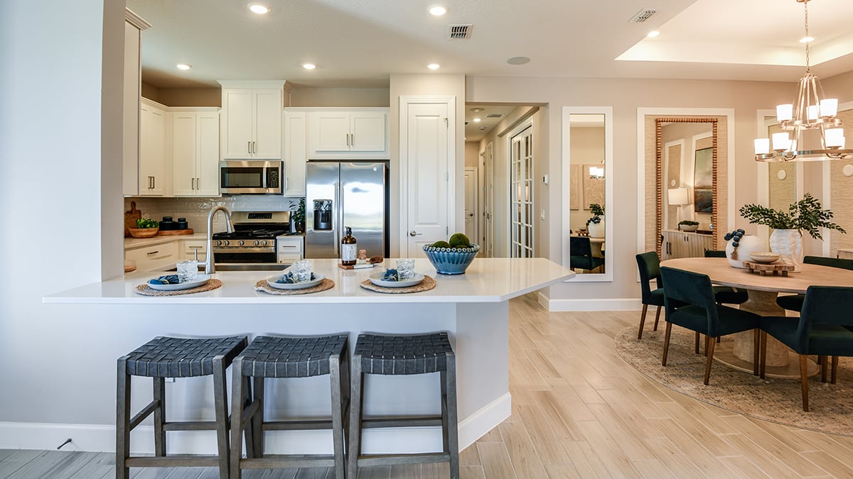 St Cloud, Florida Homes for Sale at Esplanade at Center Lake Ranch ...