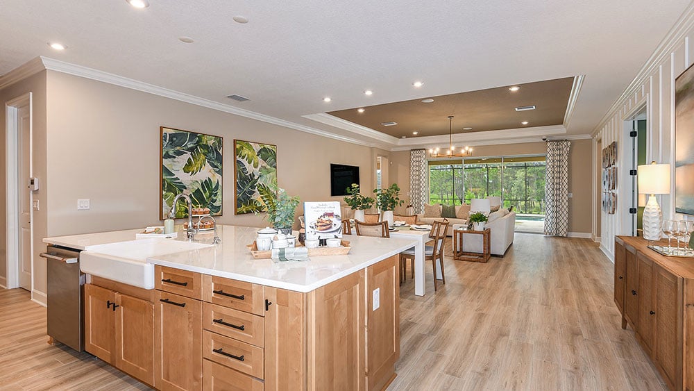 Wesley Chapel, Florida Homes for Sale at River Landing - Taylor Morrison