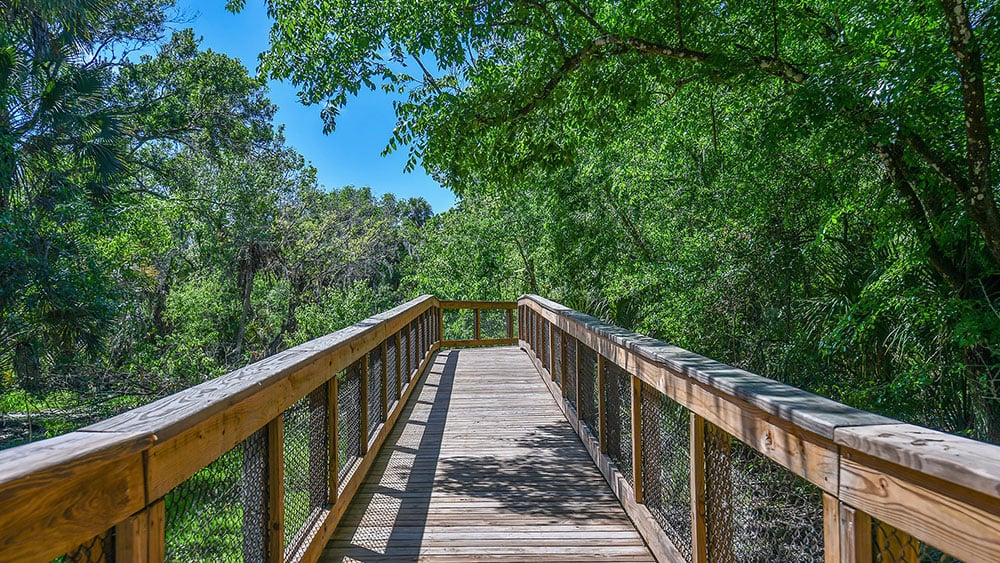 Sarasota, Florida Homes for Sale at Cassia at Skye Ranch - Taylor Morrison