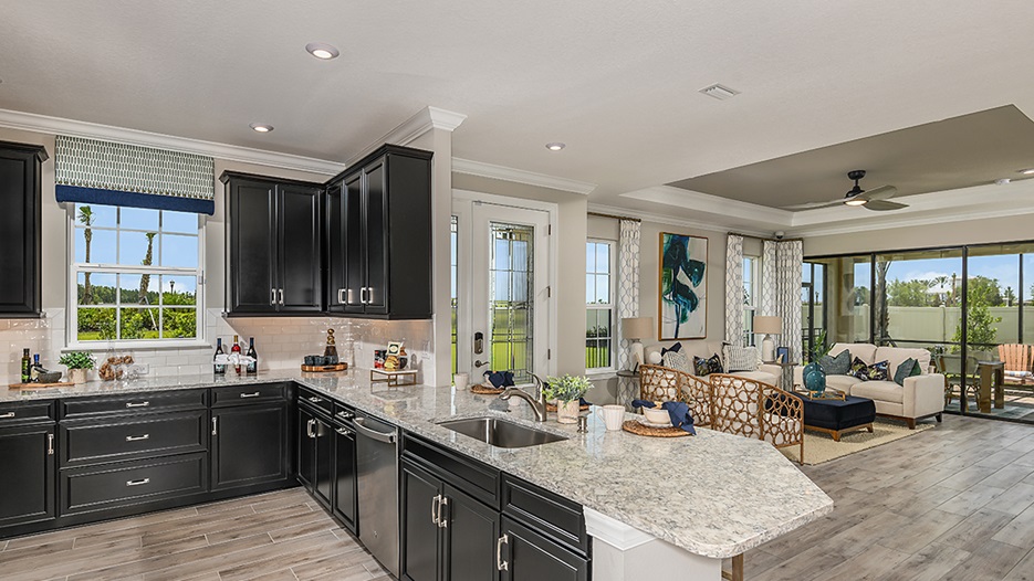 Arezzo at Esplanade at Wiregrass Ranch in Wesley Chapel, FL - Designed ...
