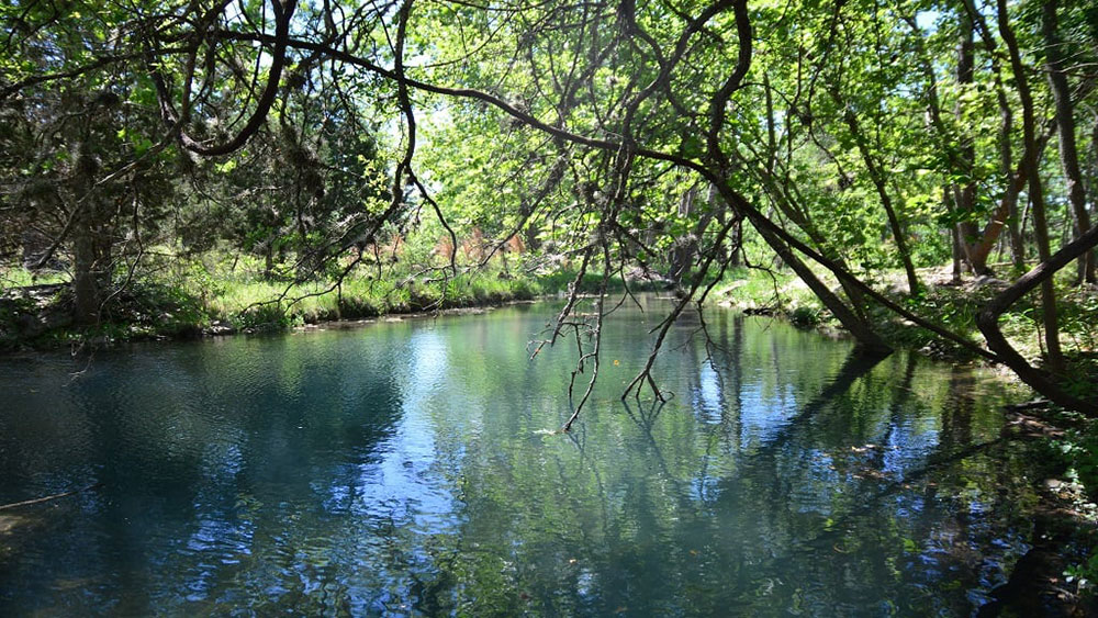 Austin, Texas Homes for Sale at Parten 85s - Taylor Morrison