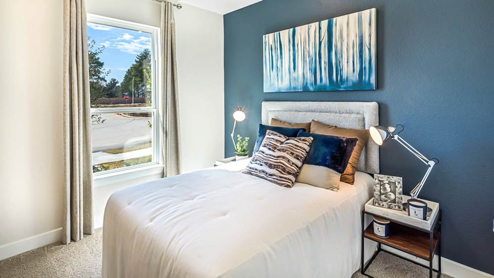 Camelia 5 bedroom homes for sale in Buda at Turner's Crossing 45s