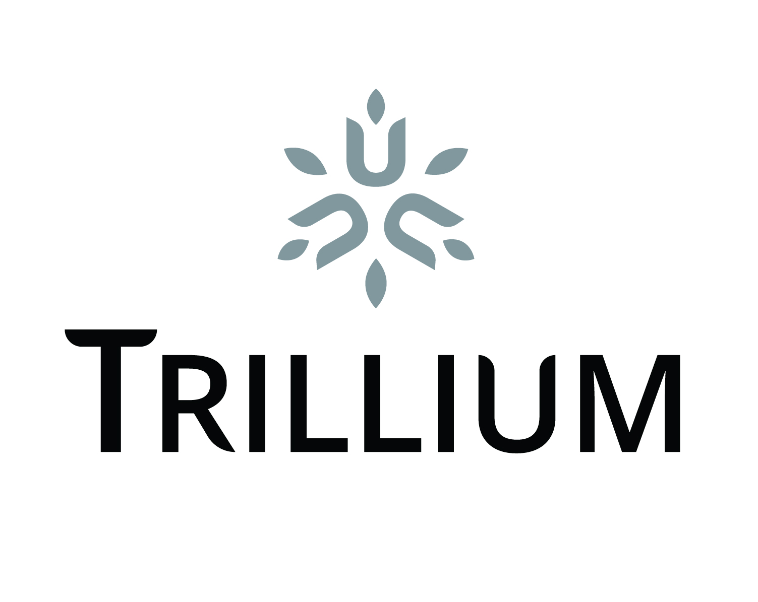 Trillium in Houston, TX - Taylor Morrison